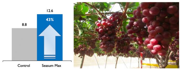 SEASUM® MAX – Biosum